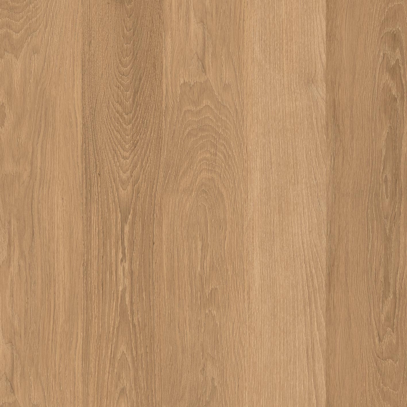 Piso tipo madera: Cocoon - Joy | Interni